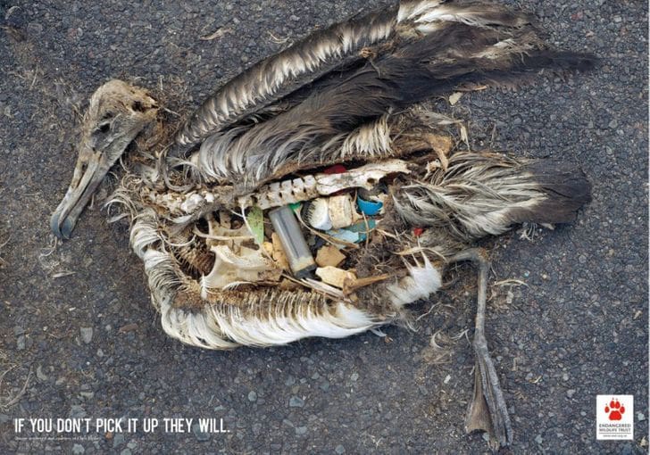 The most striking environmental campaign ads we’ve ever seen - Best of Eden